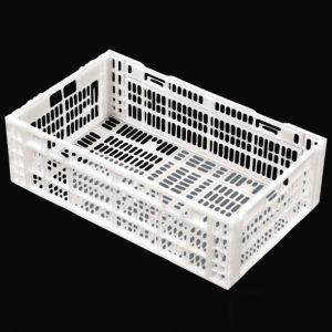 caja veracruz con escote » Elypsa